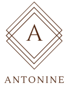 Antonine Security & Risk Solutions - Why Antonine SRS?